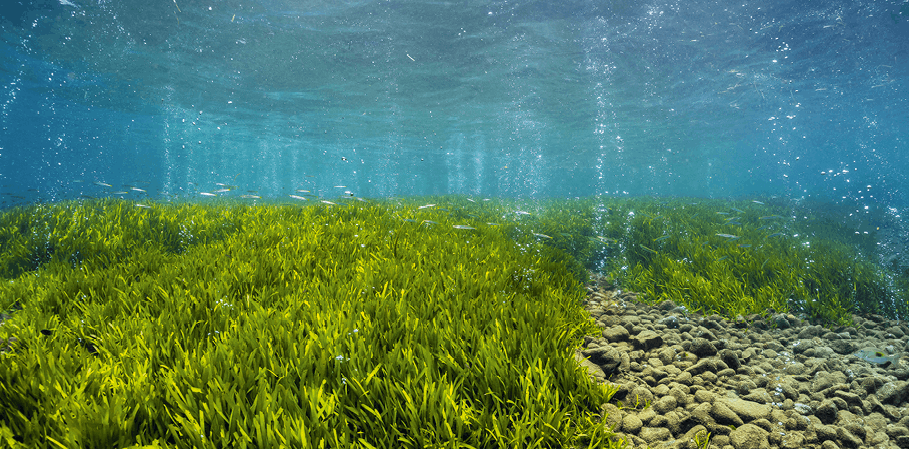 Le coin des experts | Lelivrescolaire.fr