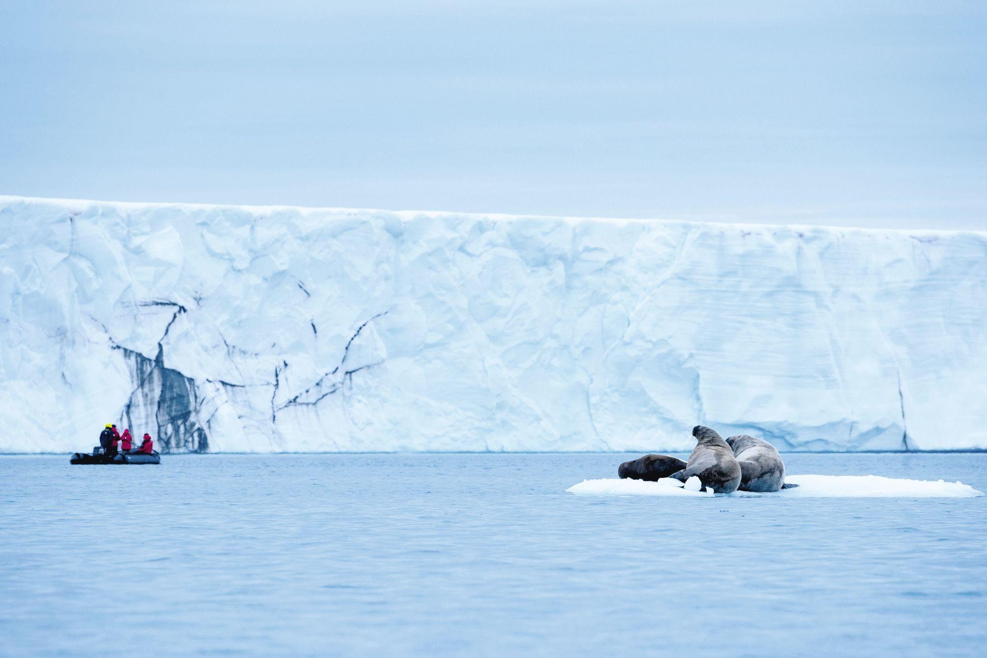 Pourquoi la mer de Barents devient-elle un espace au cœur de la ...