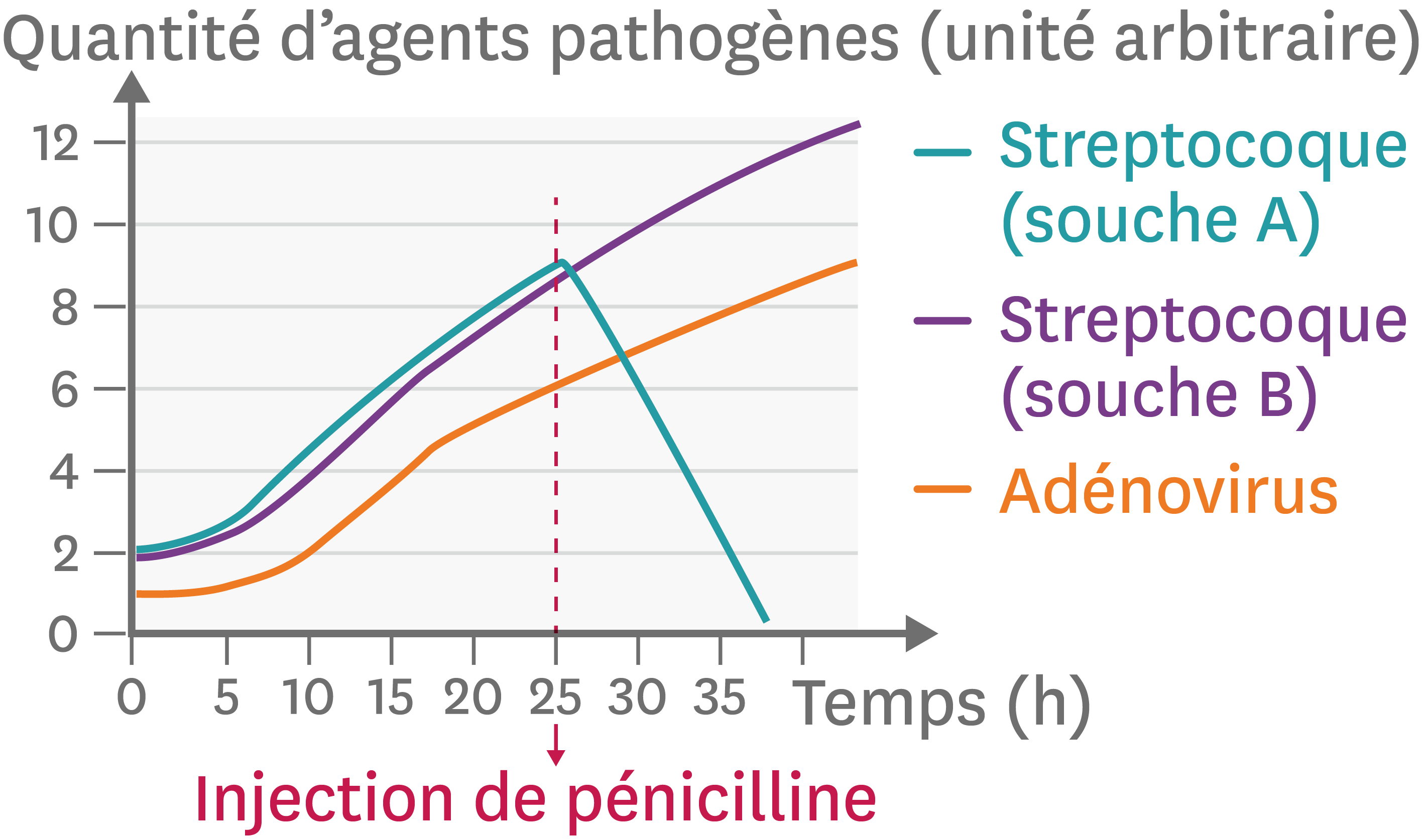 Comment utiliser les antibiotiques ? | Lelivrescolaire.fr