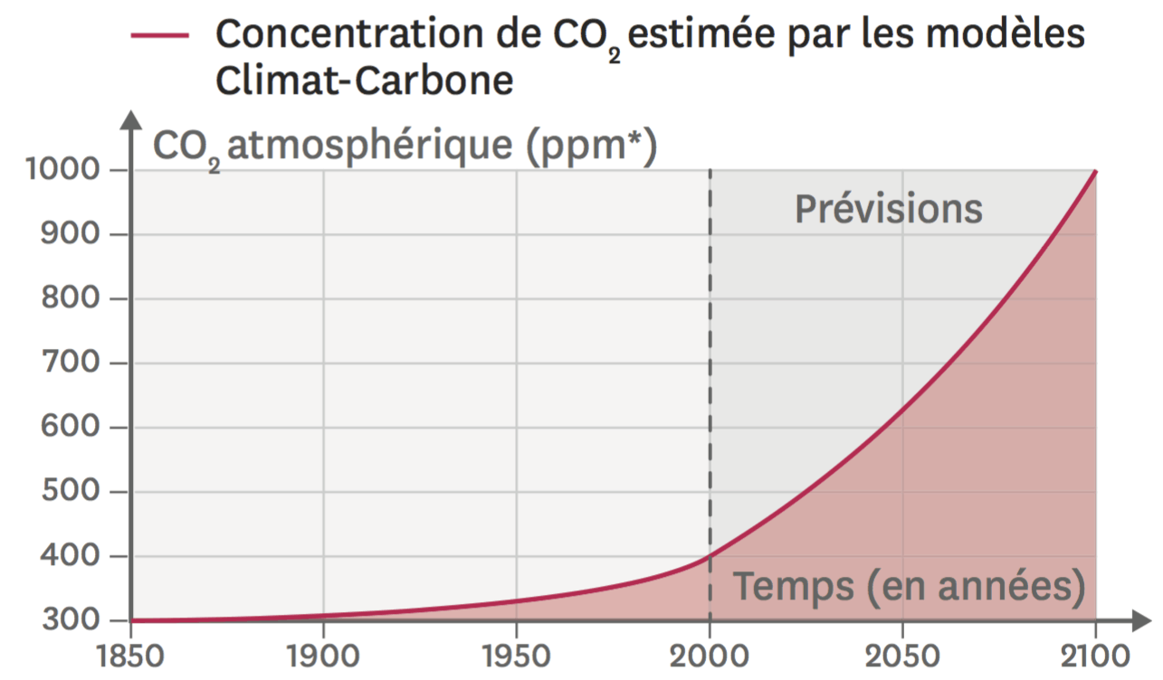 Les conséquences des pluies acides | Lelivrescolaire.fr