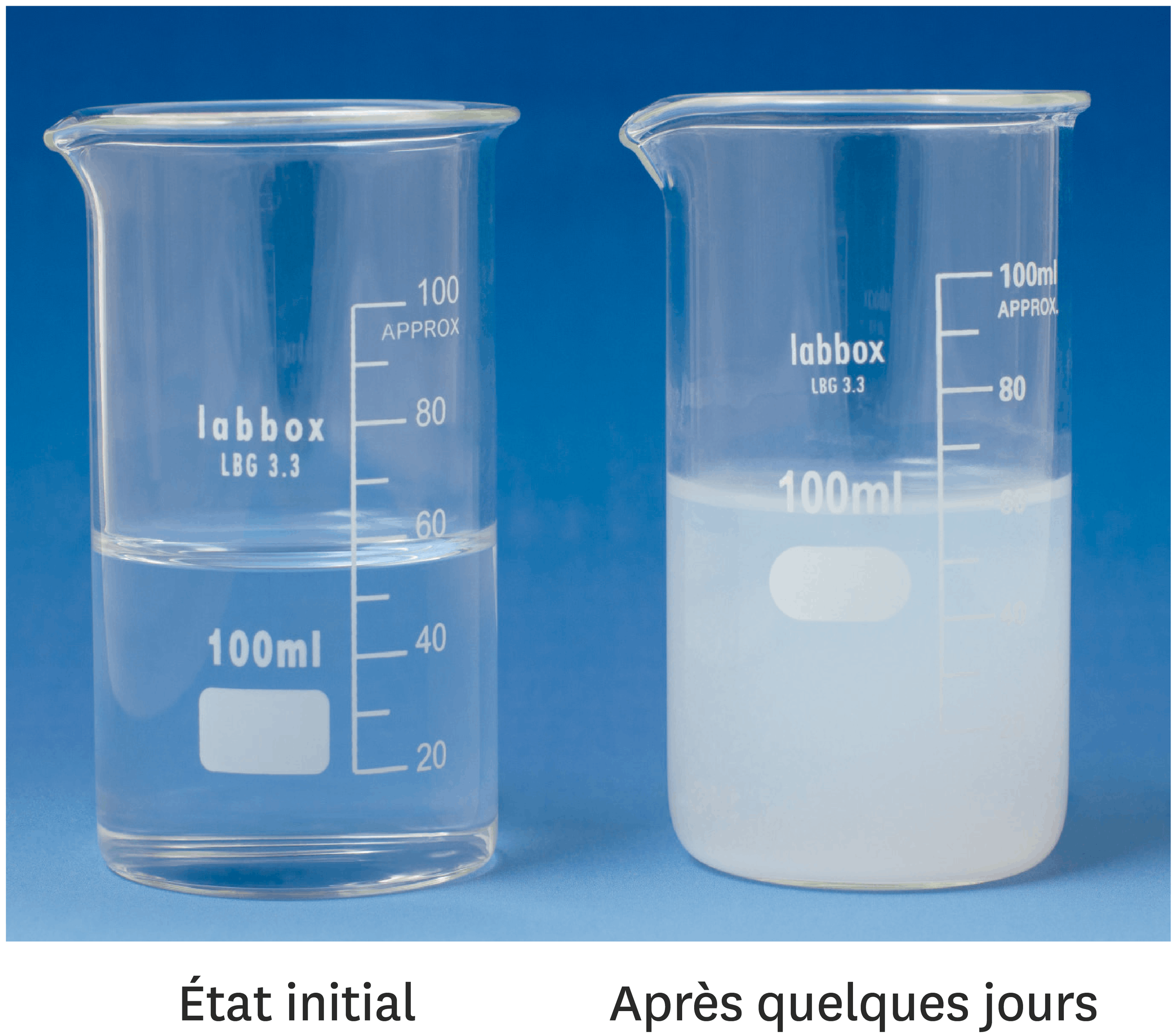 dans un becher contenant une solution aqueuse PDF Cours,Exercices ,Examens