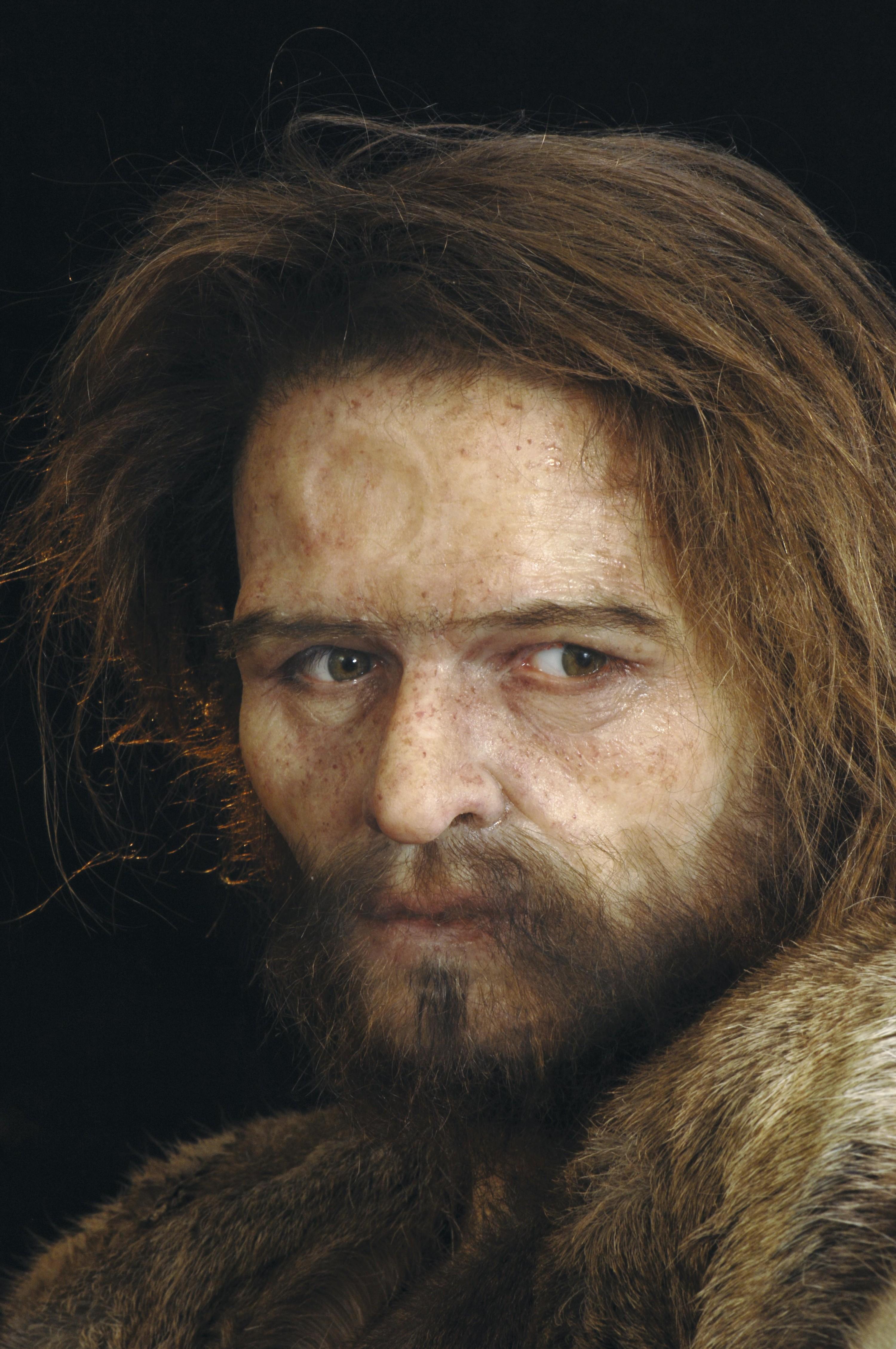 L’apparition de l’humanité sur la Terre | Lelivrescolaire.fr