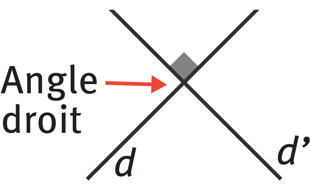 Construction de droites | Lelivrescolaire.fr