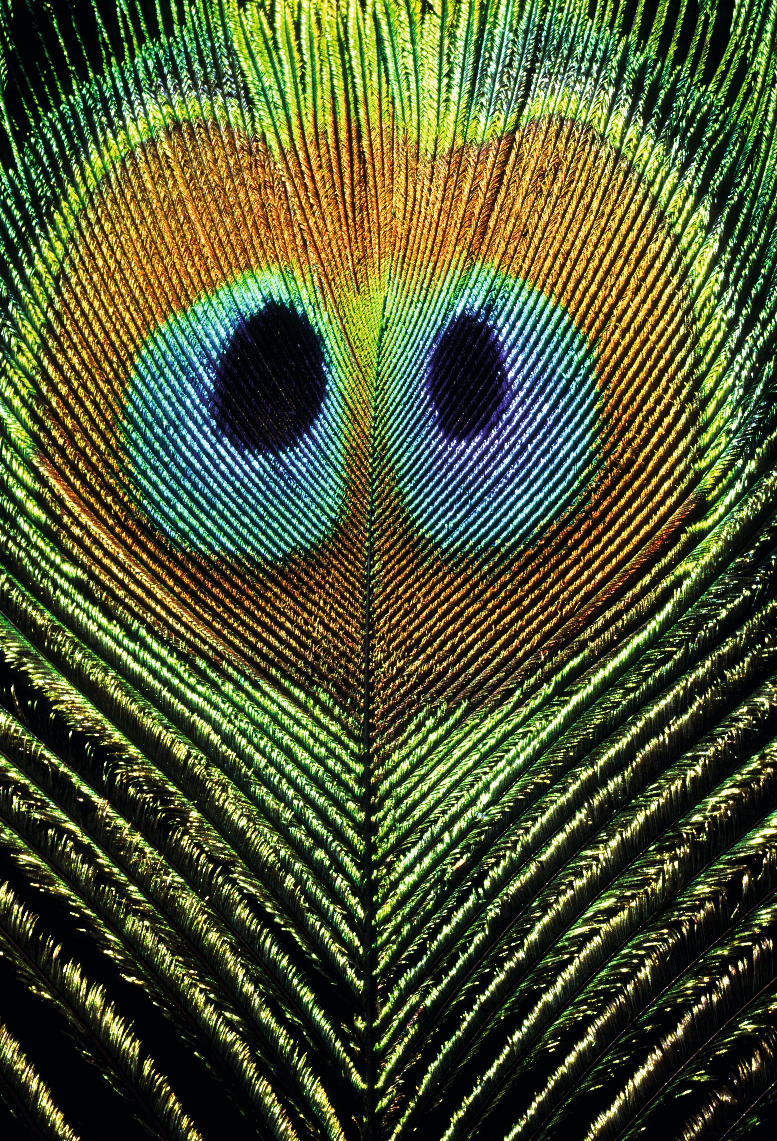 Symétrie axiale | Lelivrescolaire.fr