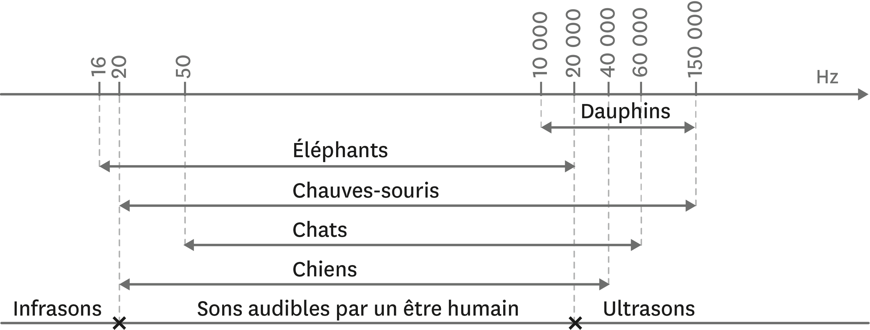 SOund NAvigation and Ranging (SONAR) | Lelivrescolaire.fr