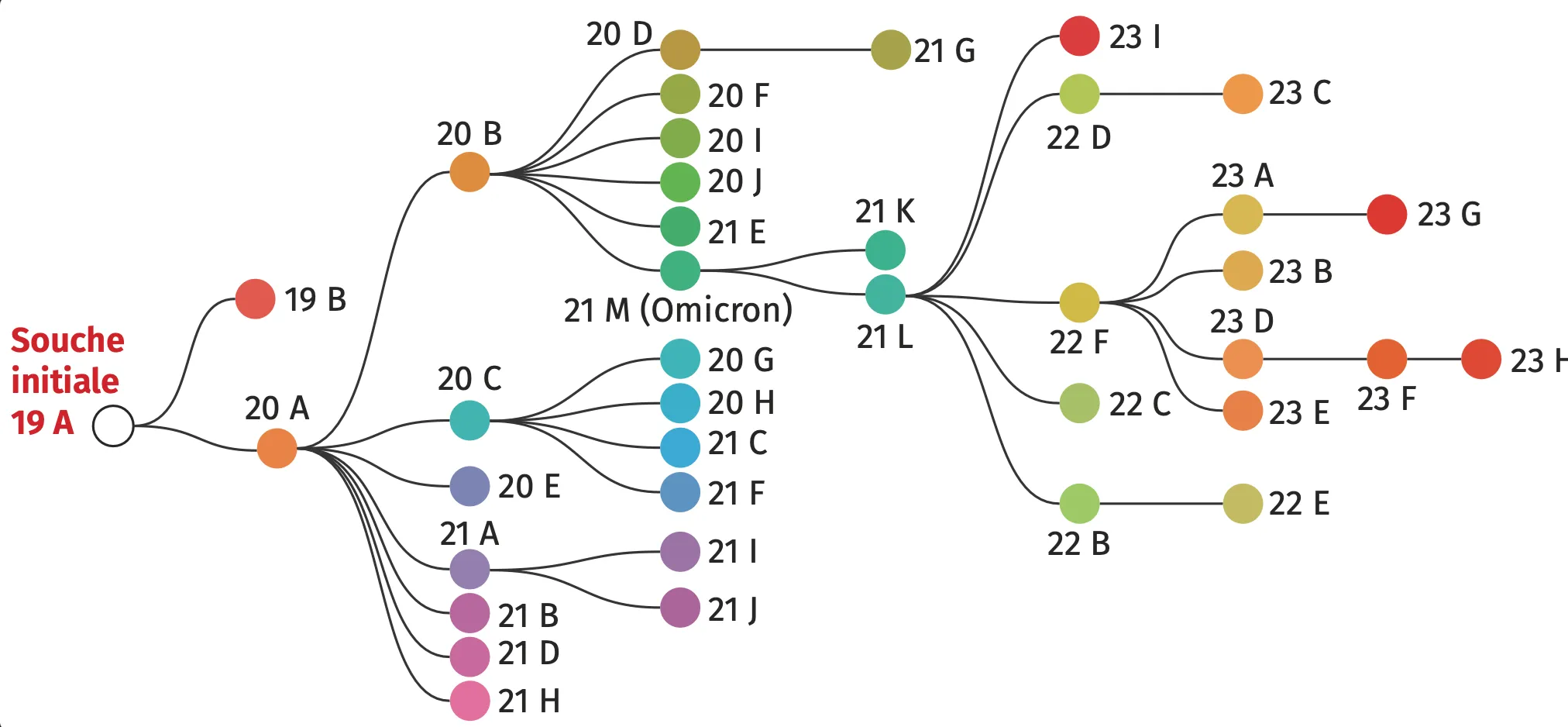 L'évolution biologique visible au quotidien | Lelivrescolaire.fr