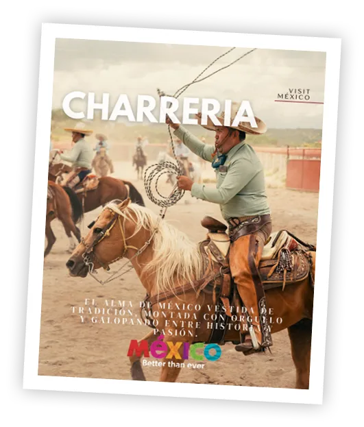 5. ¡A cantar México, chilangos! | Lelivrescolaire.fr