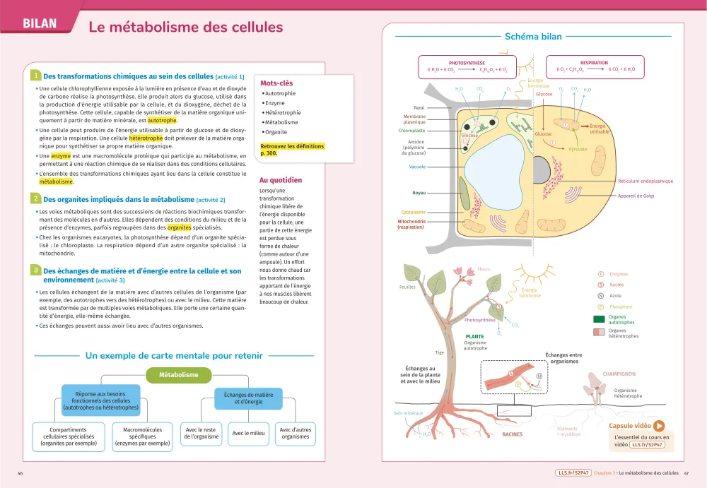 Le métabolisme des cellules | Lelivrescolaire.fr