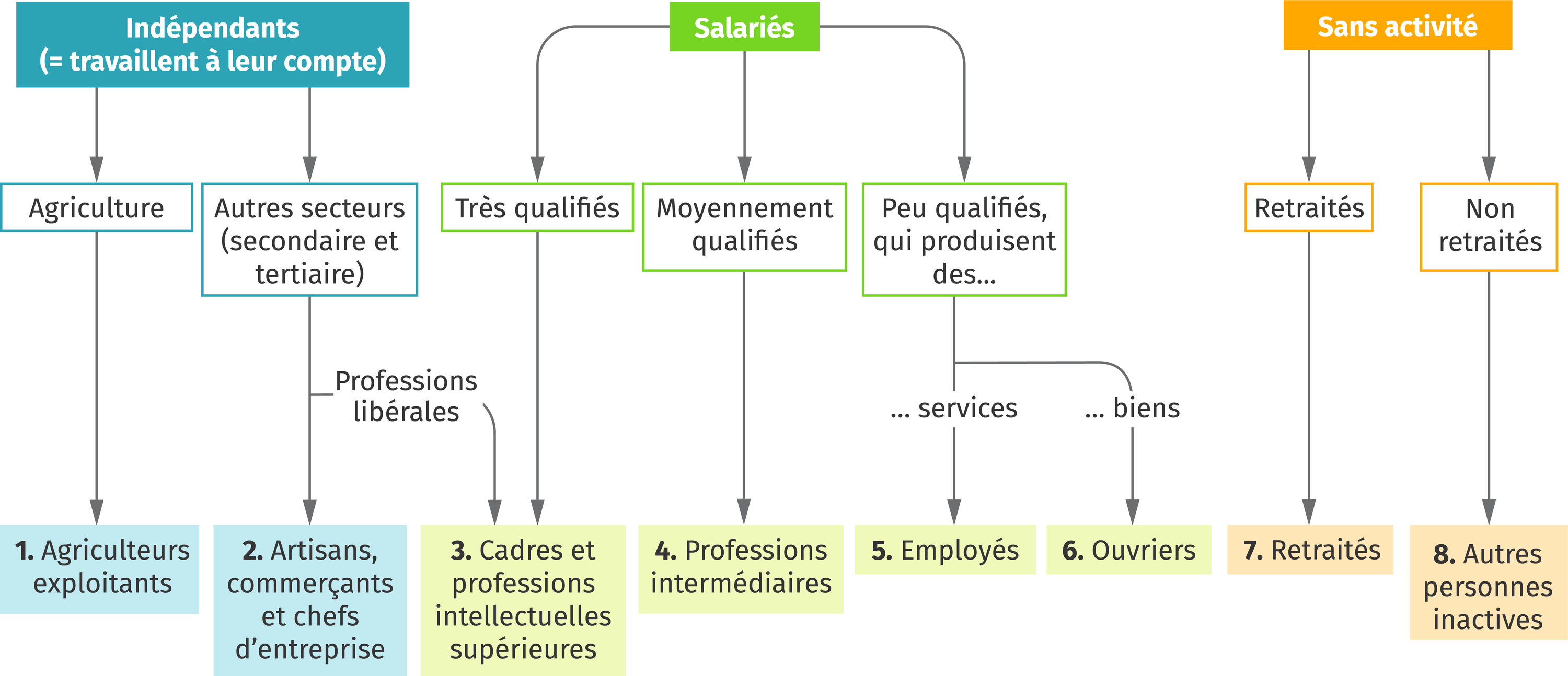 Comment classer la population selon le milieu social ? | Lelivrescolaire.fr