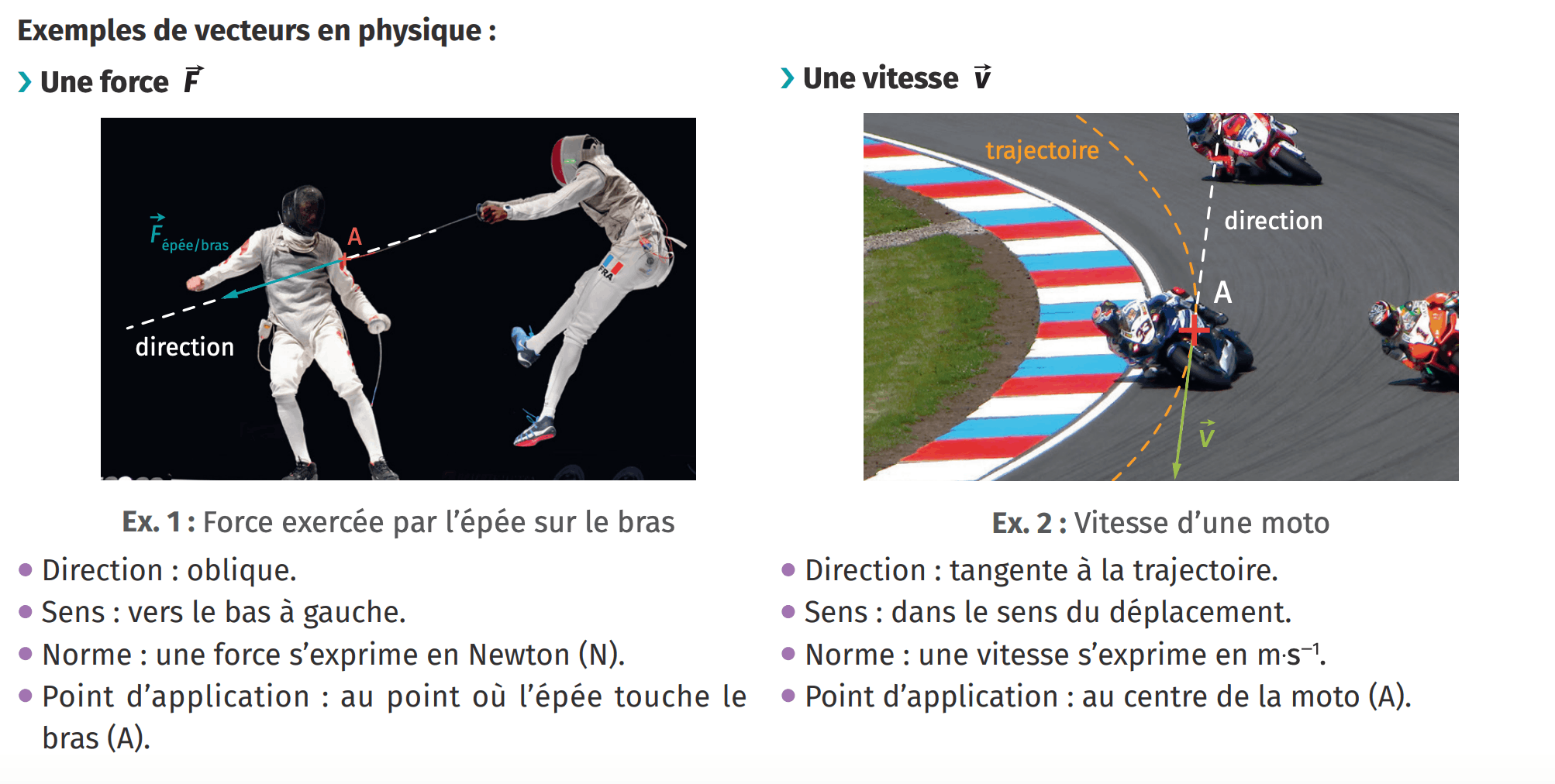 Les vecteurs | Lelivrescolaire.fr