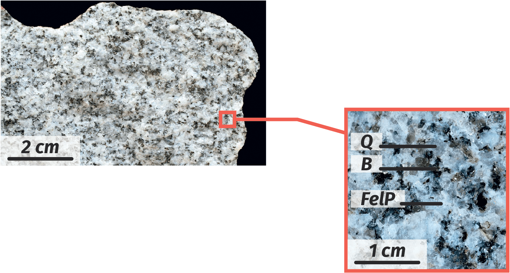 De la roche au squelette, les cristaux sont partout ! | Lelivrescolaire.fr