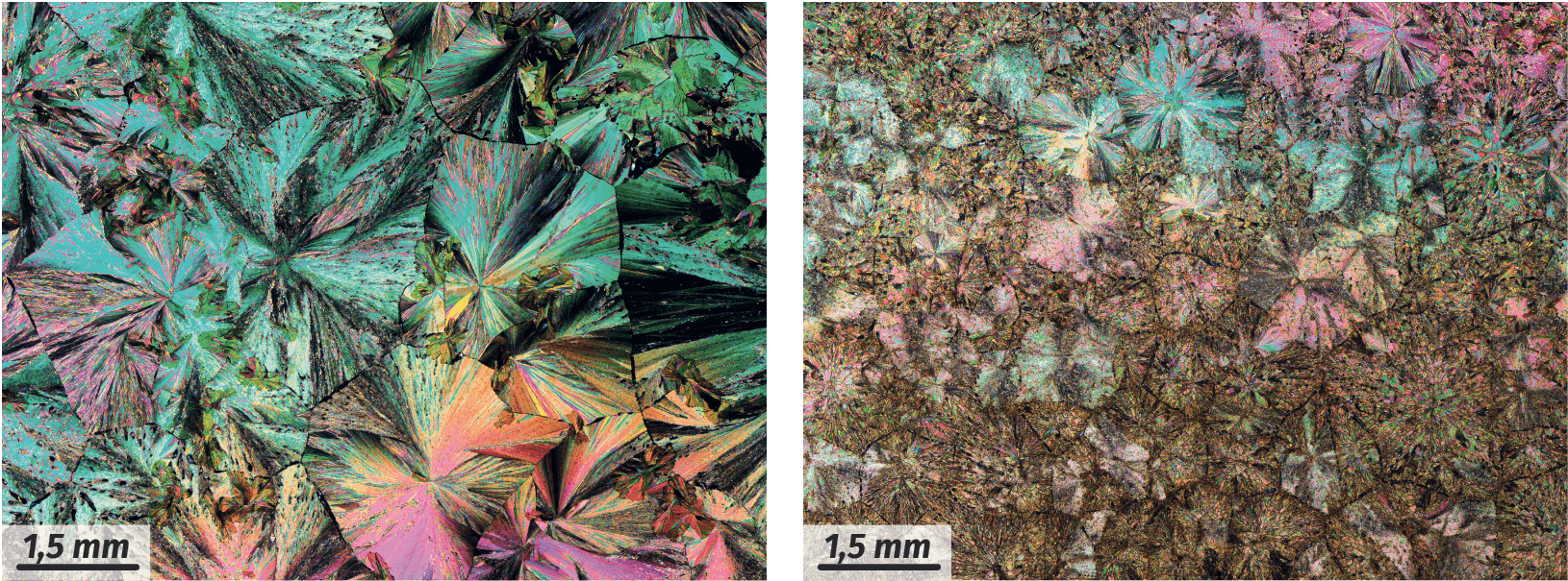 Du verre dans certaines roches magmatiques | Lelivrescolaire.fr