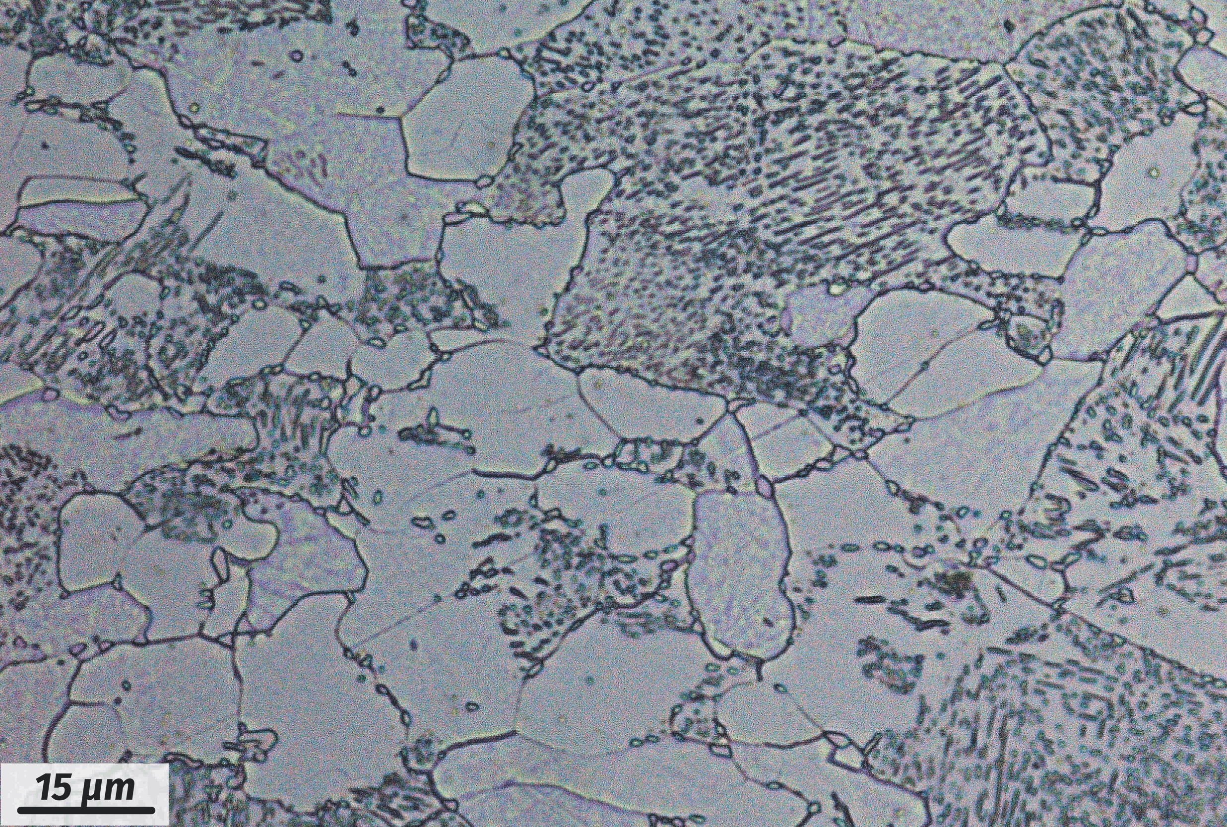 Le coin des experts | Lelivrescolaire.fr