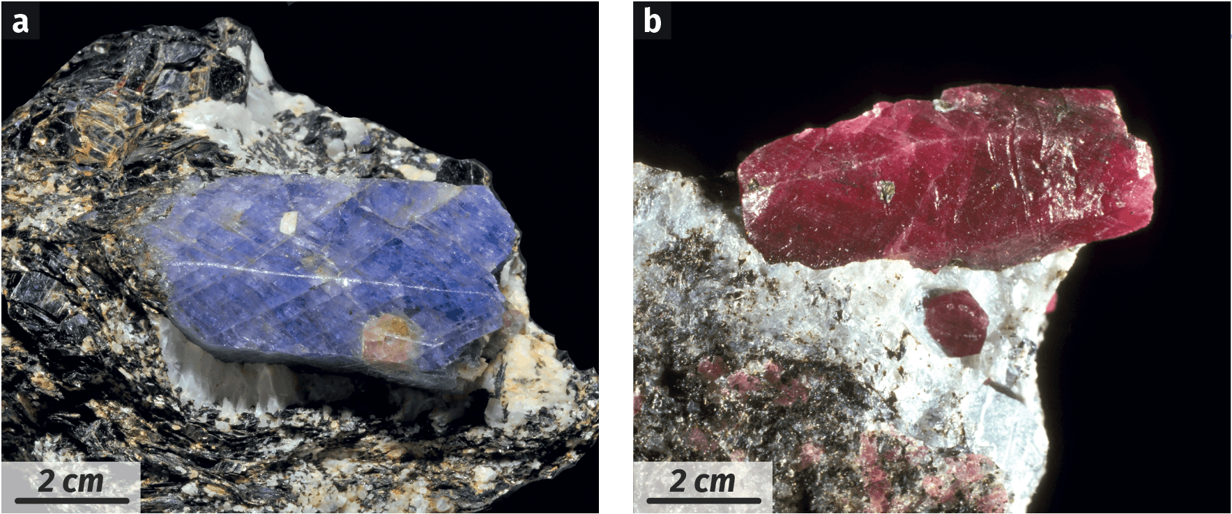 Le coin des experts | Lelivrescolaire.fr