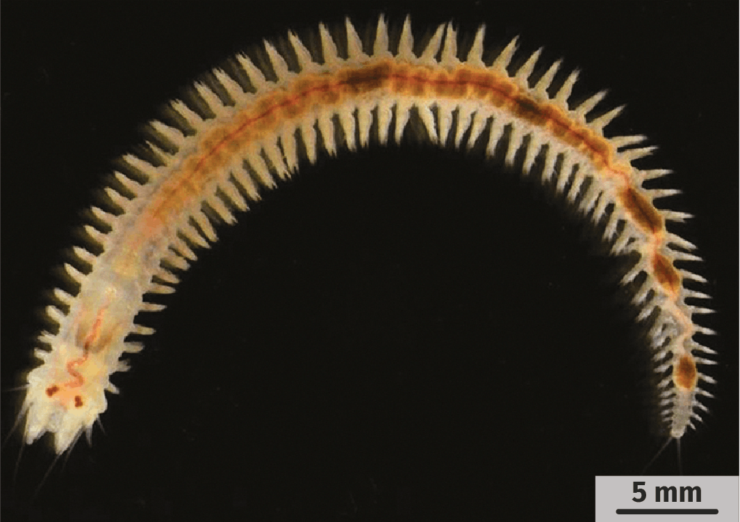 L’évolution de la biodiversité | Lelivrescolaire.fr