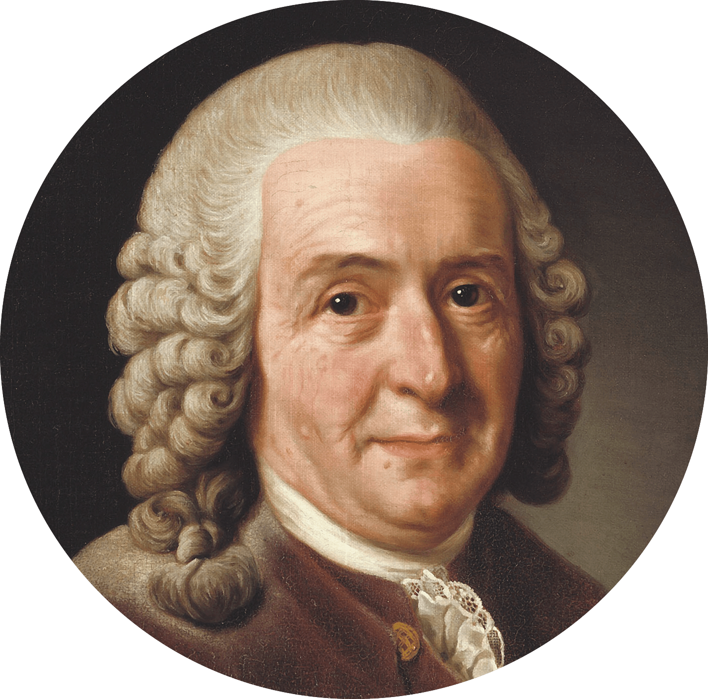 L’élargissement des champs du savoir au temps des Lumières ...