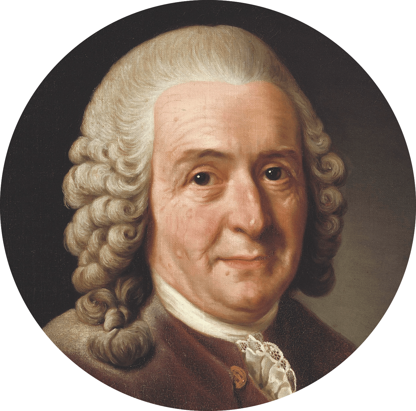 L’élargissement des champs du savoir au temps des Lumières ...