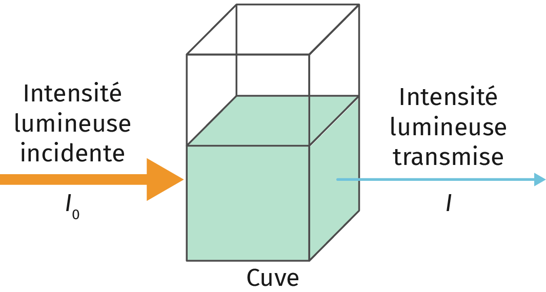 Cours | Lelivrescolaire.fr