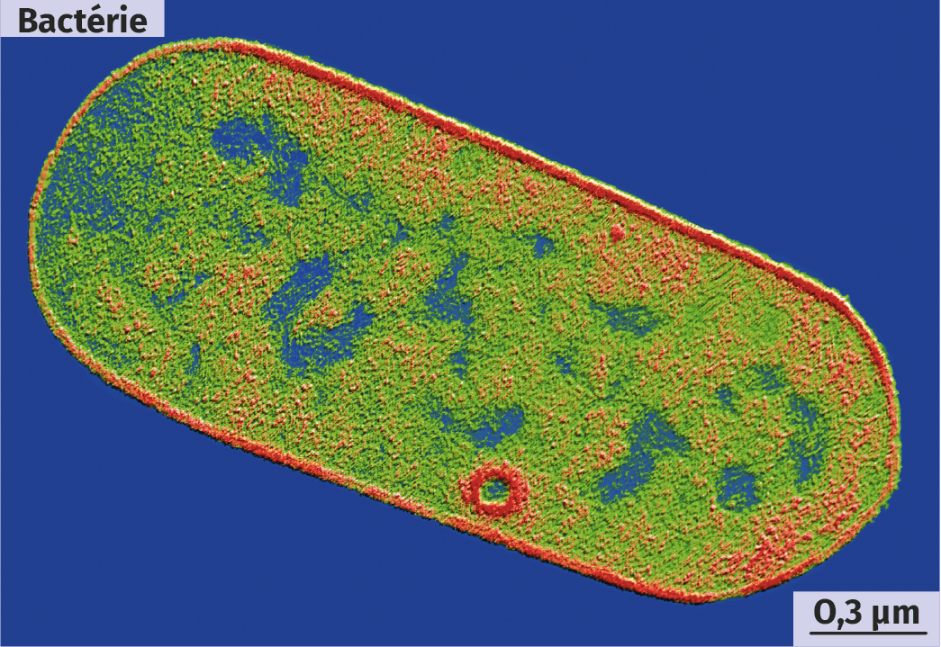 Le coin des experts | Lelivrescolaire.fr