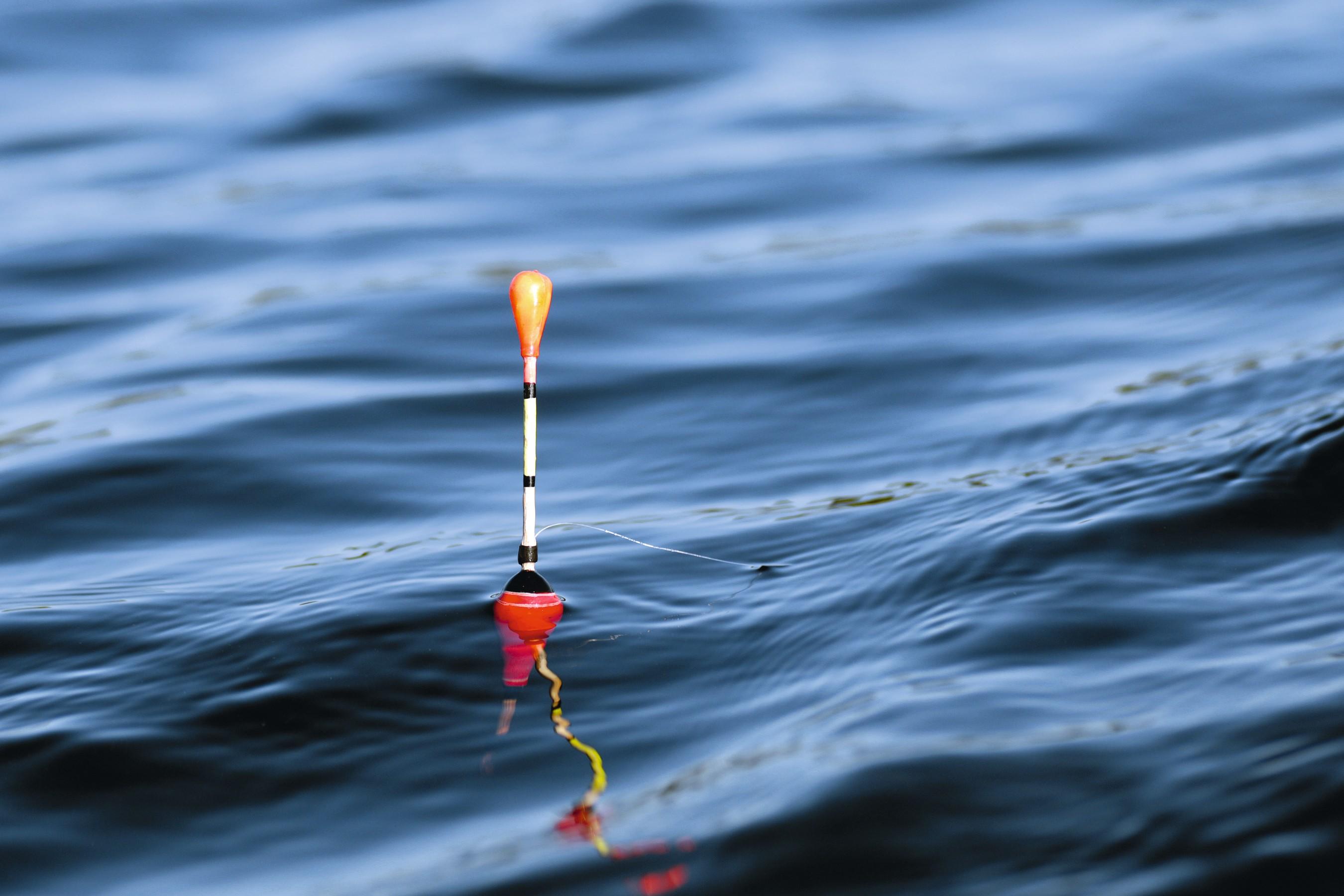 Des ondes bien différentes | Lelivrescolaire.fr