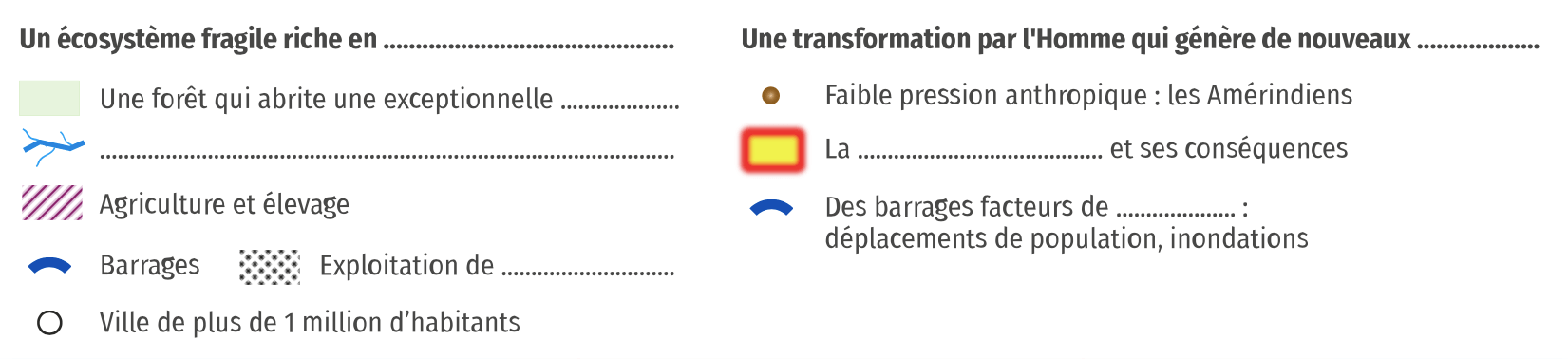 La forêt amazonienne : un environnement fragile soumis aux pressions et ...