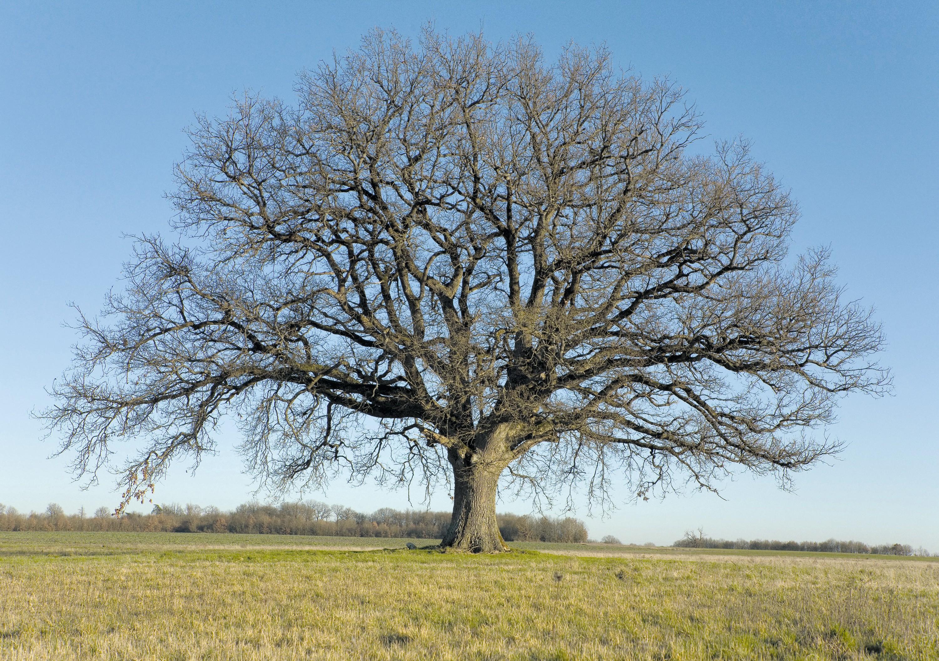 Le coin des experts | Lelivrescolaire.fr