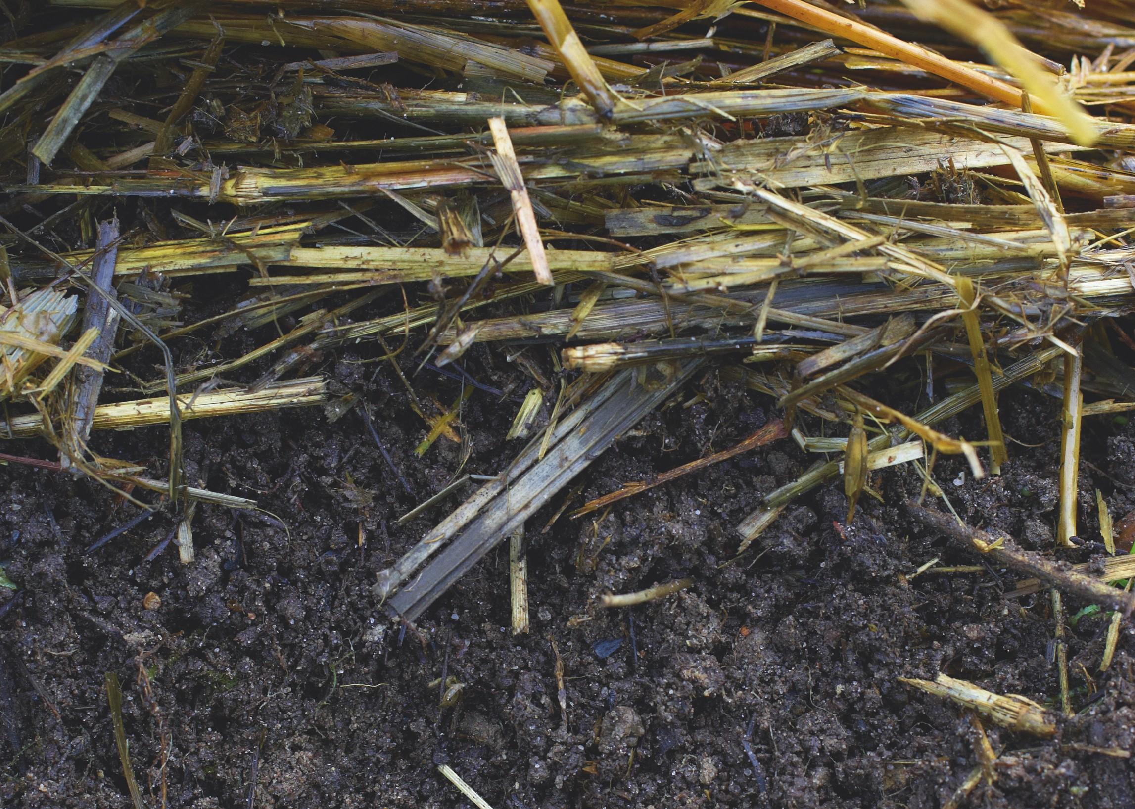 Structure, composition et formation des sols | Lelivrescolaire.fr