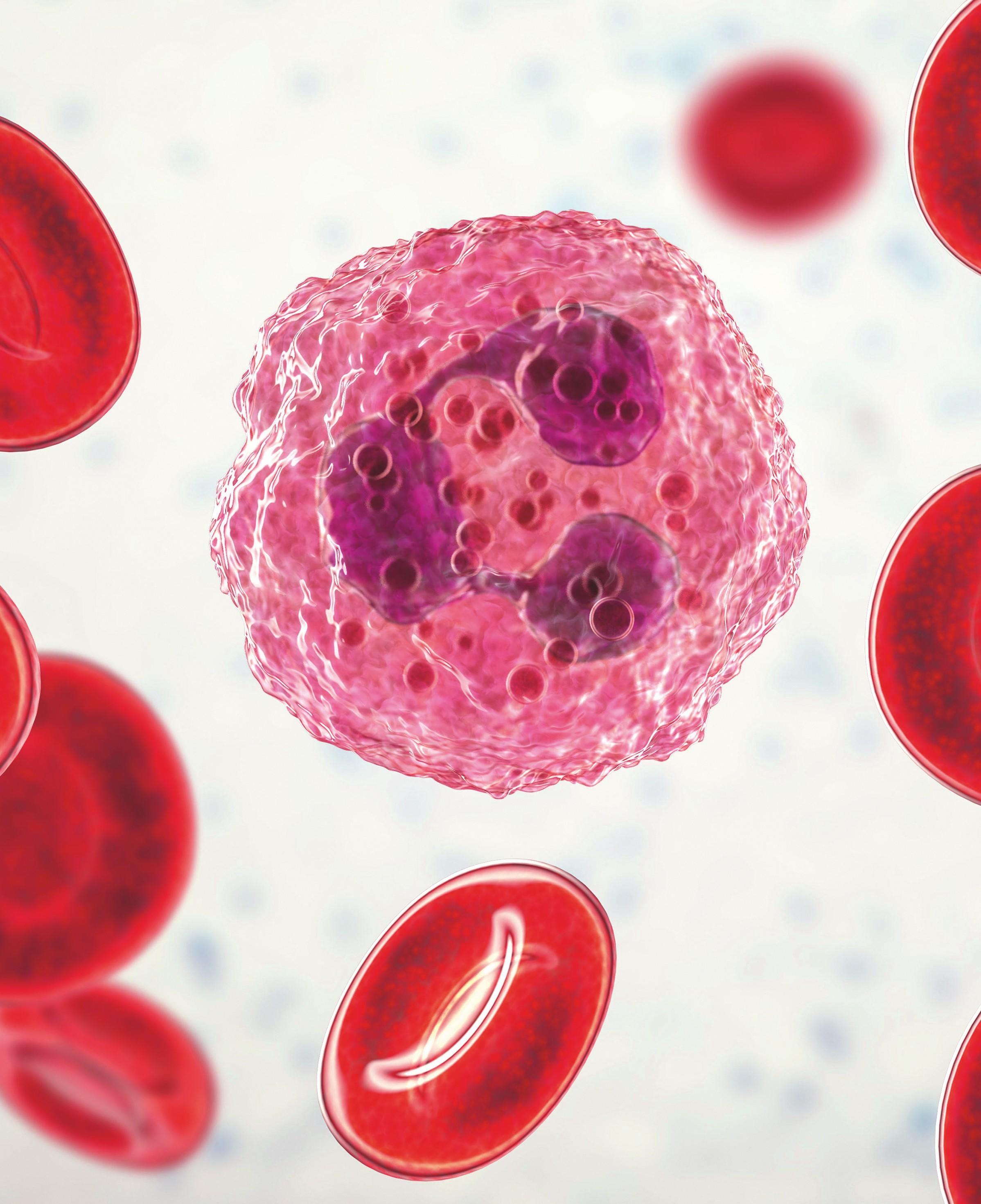 Apprendre en résolvant des énigmes en équipe | Lelivrescolaire.fr