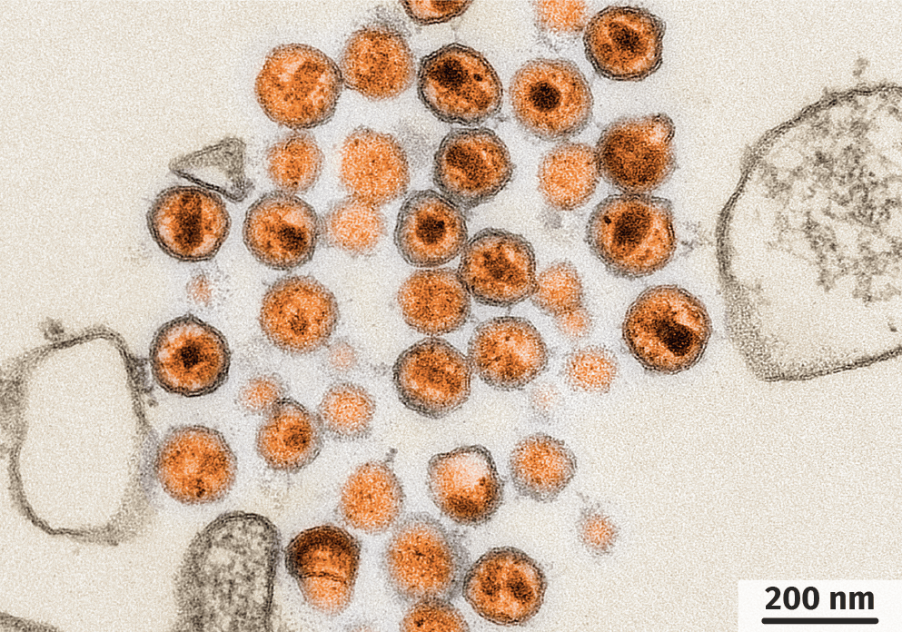 Exercices | Lelivrescolaire.fr