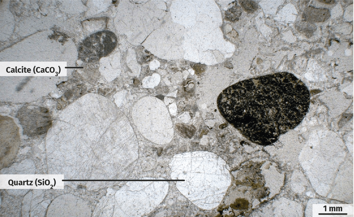 Exercices | Lelivrescolaire.fr